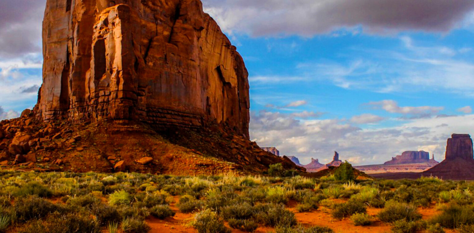 Home - New Mexico NMMIP